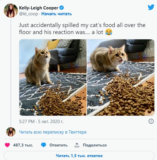 The girl accidentally spilled the food and photographed the reaction of ...